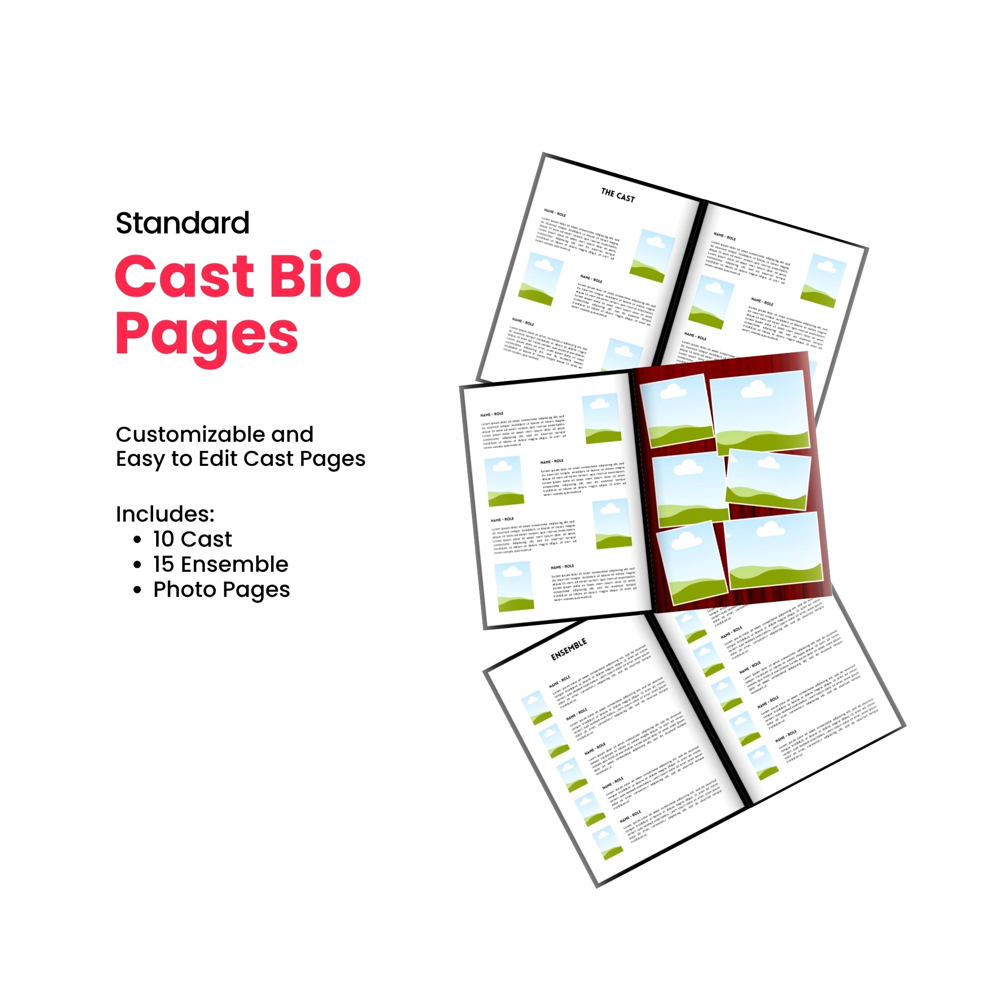 The Standard Program Canva Template - A4 – Encore Templates